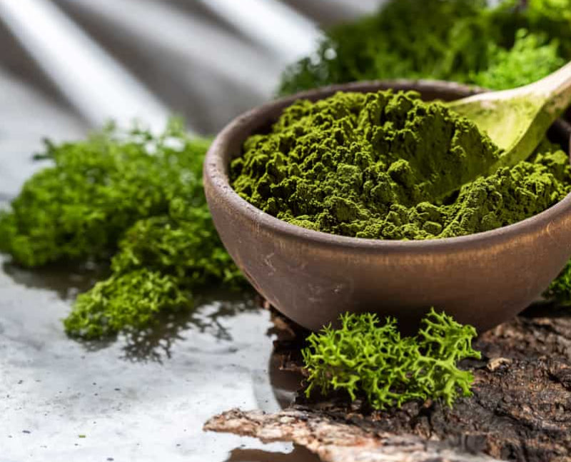 Benefits of Chlorella Vulgaris Extract: Algae-Powered Skin Elixir